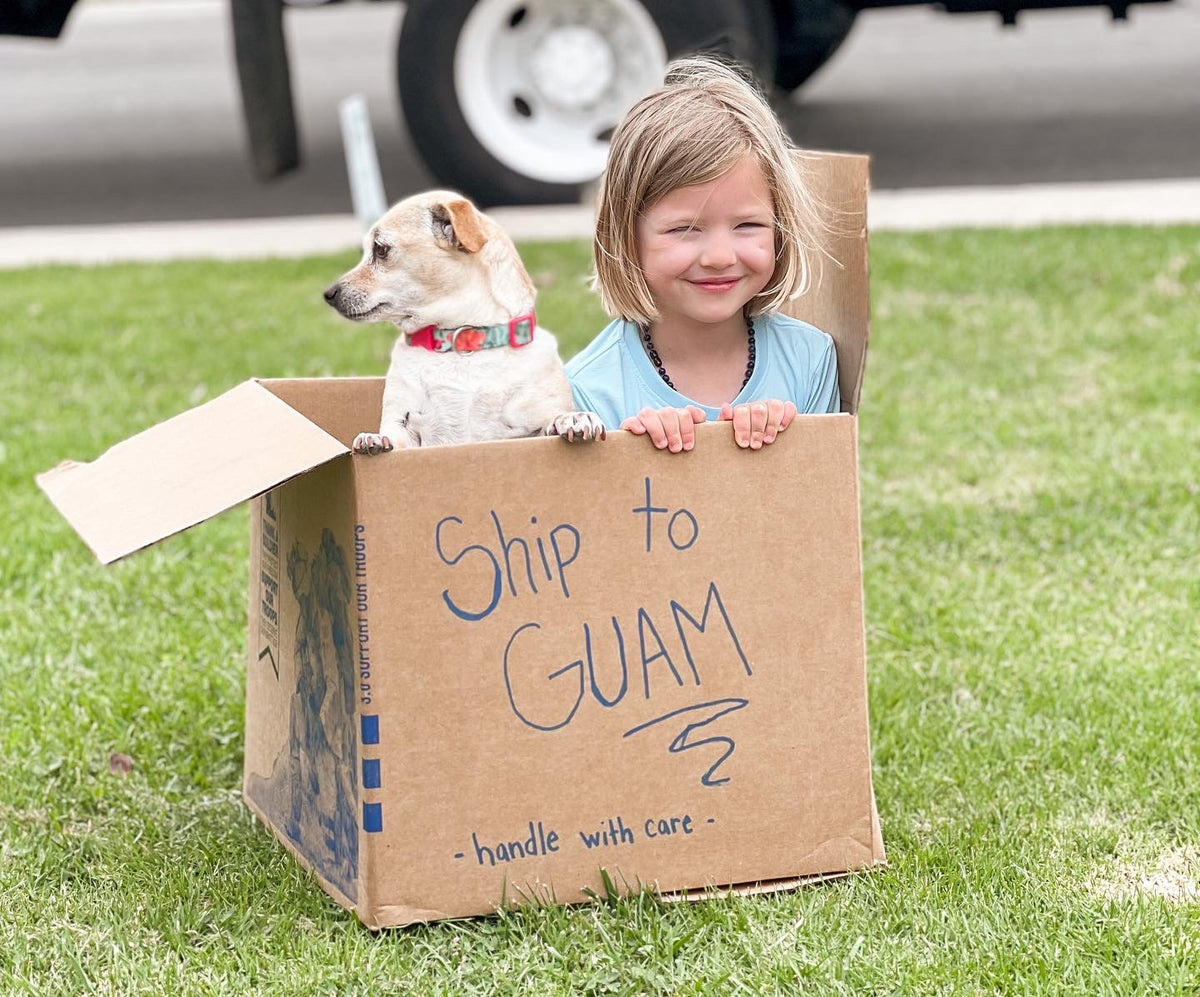 Packed Up! – Oh My Jeez Designs