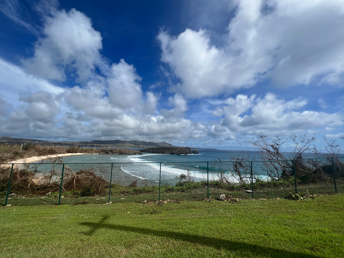 Typhoon Mawar – Oh My Jeez Designs